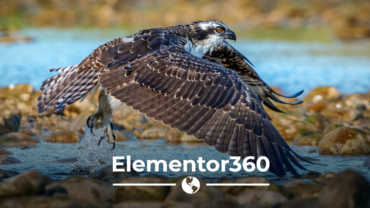 Views Widget – More Ways to Dynamically Display Your Content - Dynamic.ooo